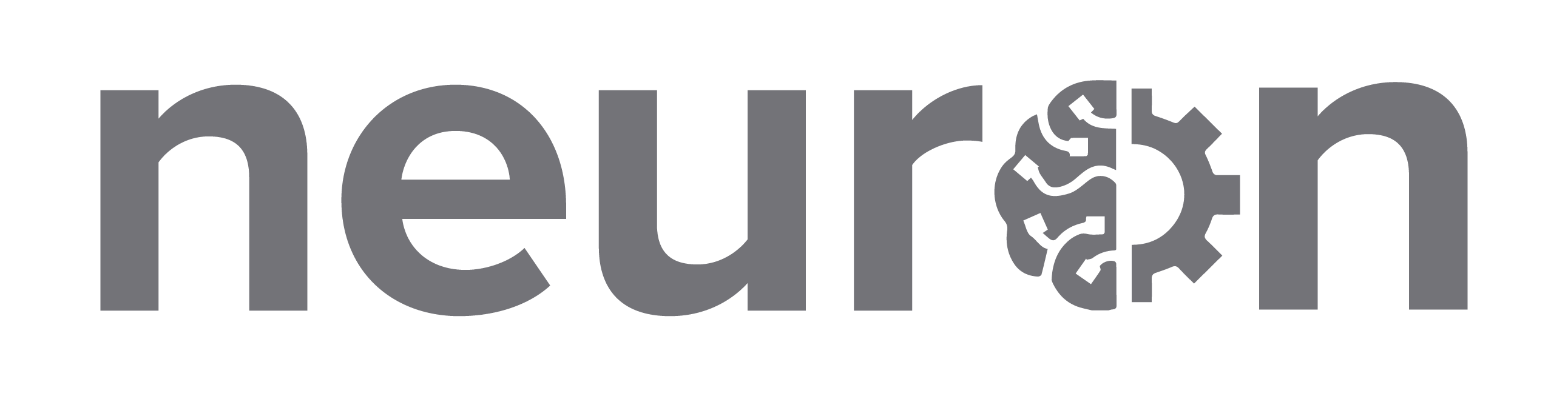 Neuron - STP Solutions